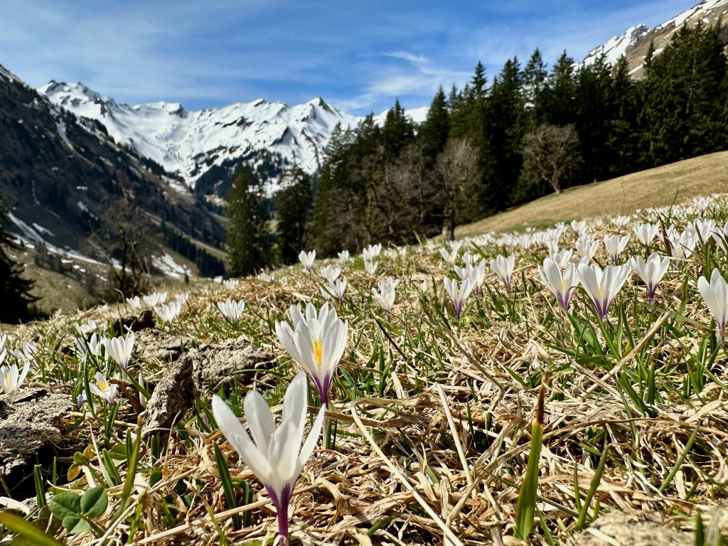 Das Allgäu im Laufe der Jahreszeiten - Hotel Prinz-Luitpold-Bad