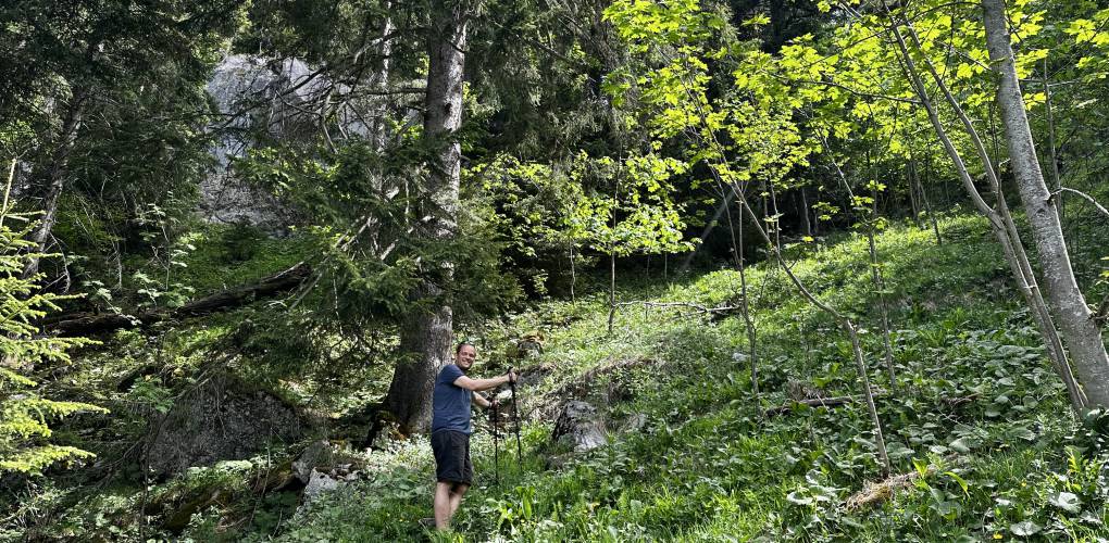 Hike Directly from the Hotel to the Iseler – A Panoramic Circular Tour ...