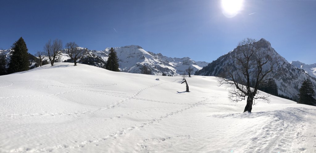 Schwarzenberghütte Hinterstein - Hotel Prinz-Luitpold-Bad