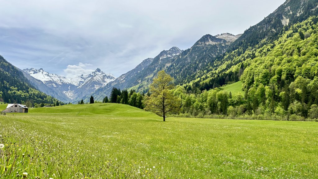 Unser Allgäu - Hotel Prinz-Luitpold-Bad