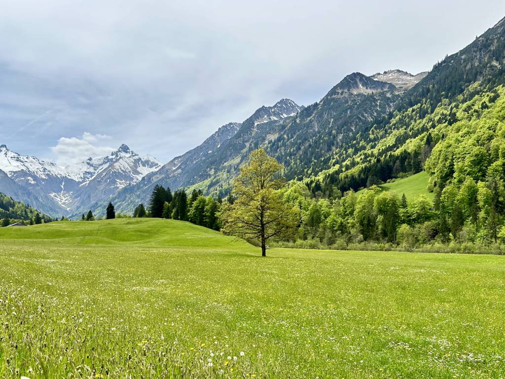 Unser Allgäu - Hotel Prinz-Luitpold-Bad